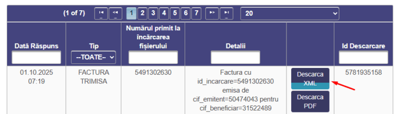 Descărcare e-Factura ANAF – PDF vs XML și alternative (2025)